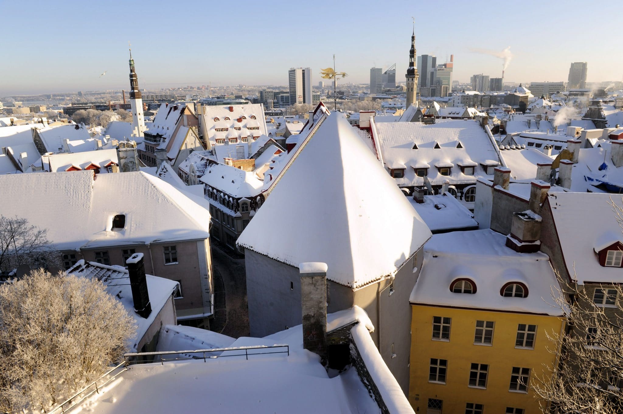 Viruksen Ilmaantuvuus Virossa Liki Kymmenkertainen Suomeen Verrattuna
