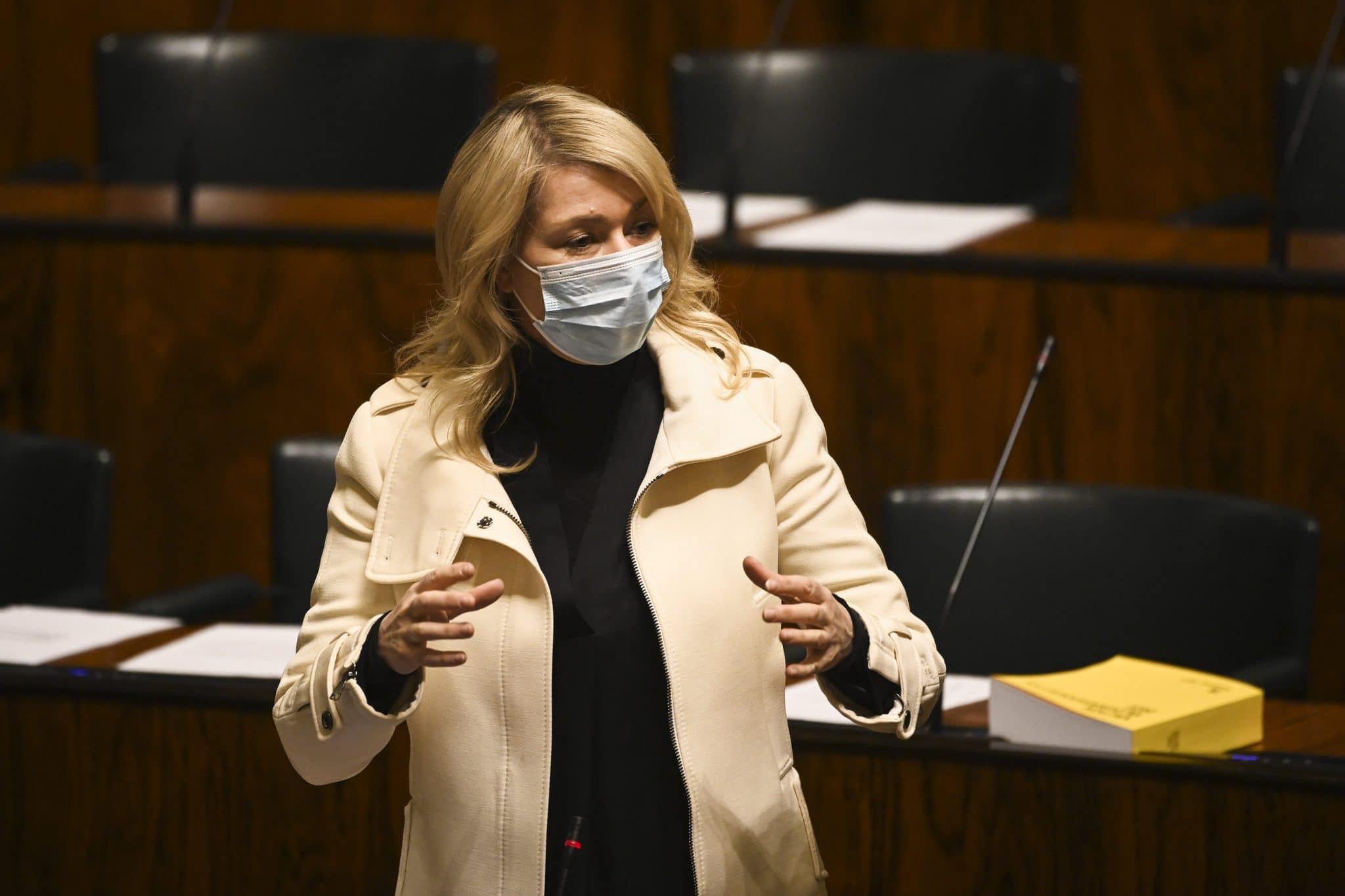 SDP:n Maria Guzenina: Mikään muu hallitus ei olisi pystynyt tähän ...