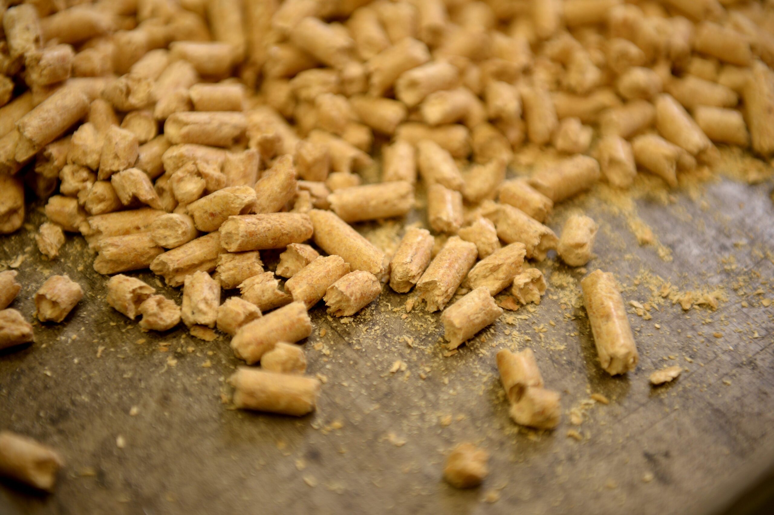 TE: Pellettien kysyntä kasvanut, varastot myyty loppuun | Verkkouutiset