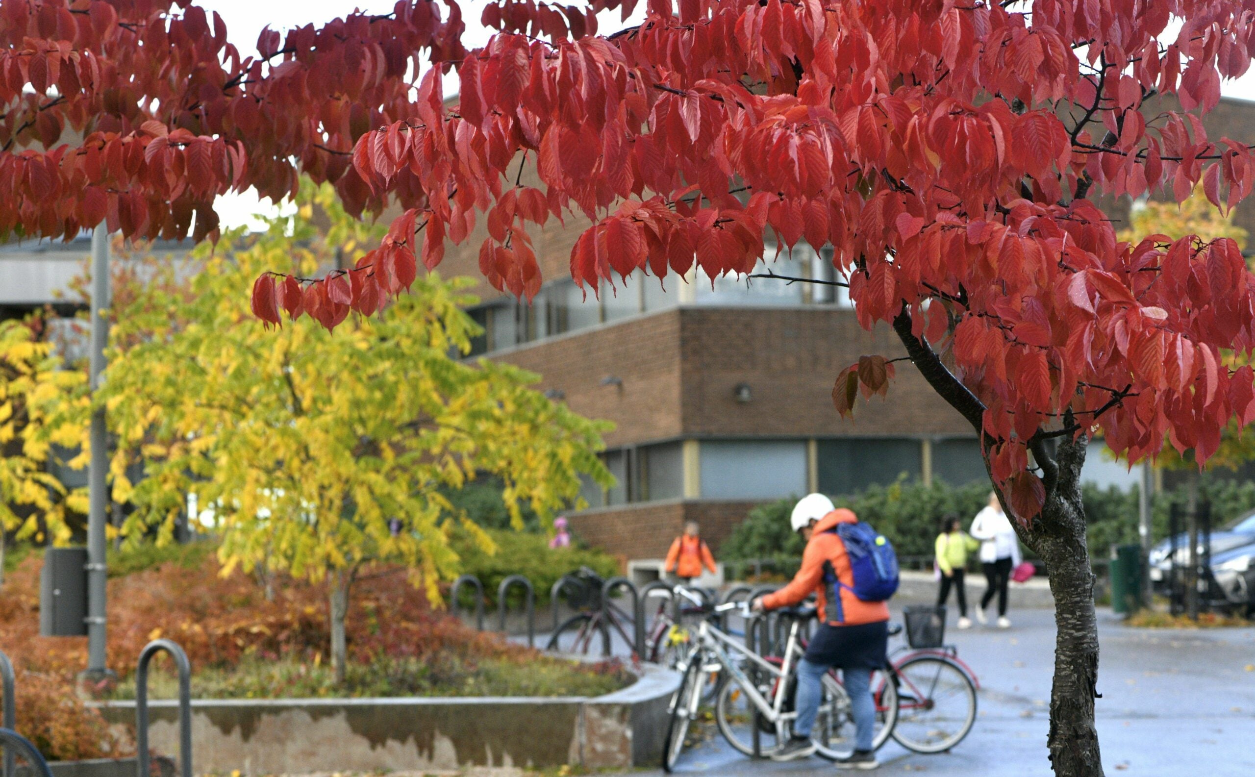 Lämpötila nousee, sää muuttuu sateiseksi | Verkkouutiset