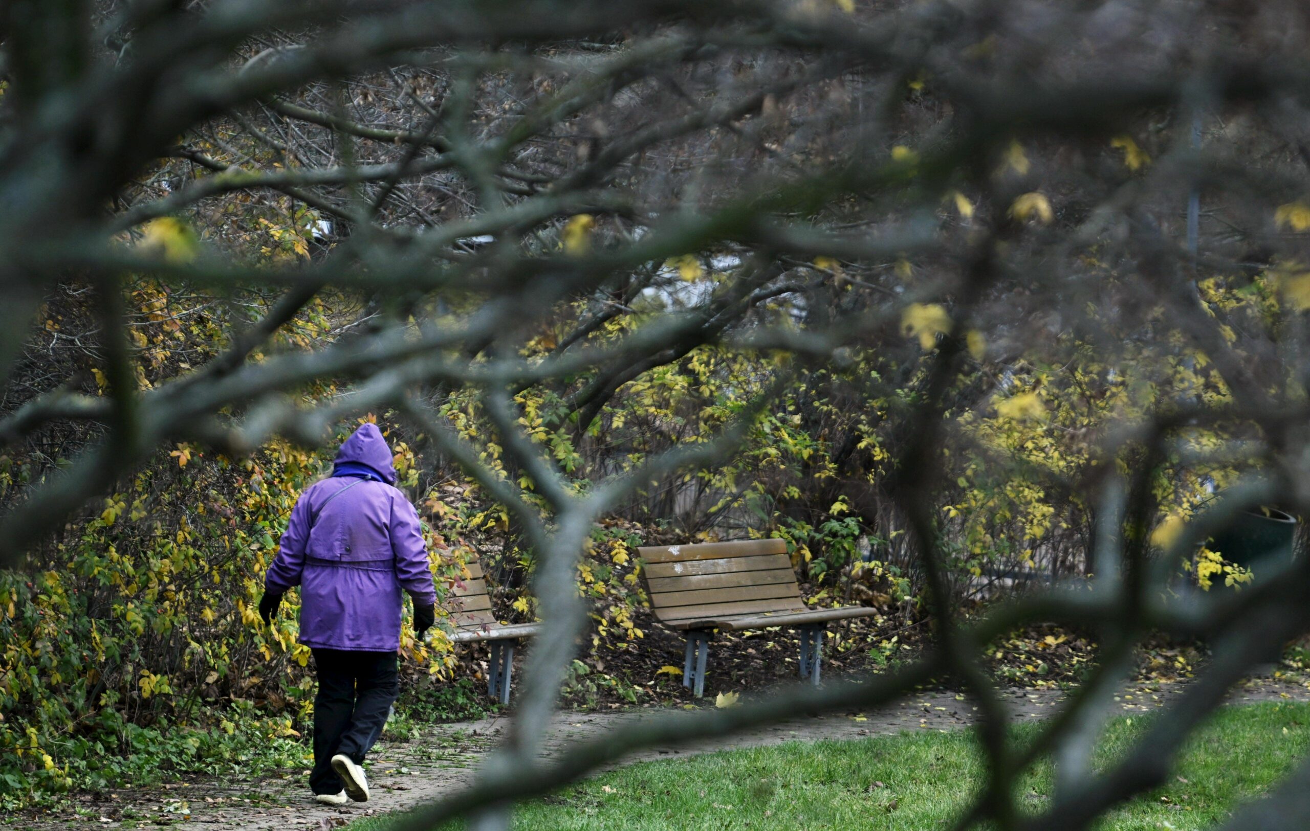 Lämpötilat romahtavat – jopa 20 asteen pakkasia | Verkkouutiset