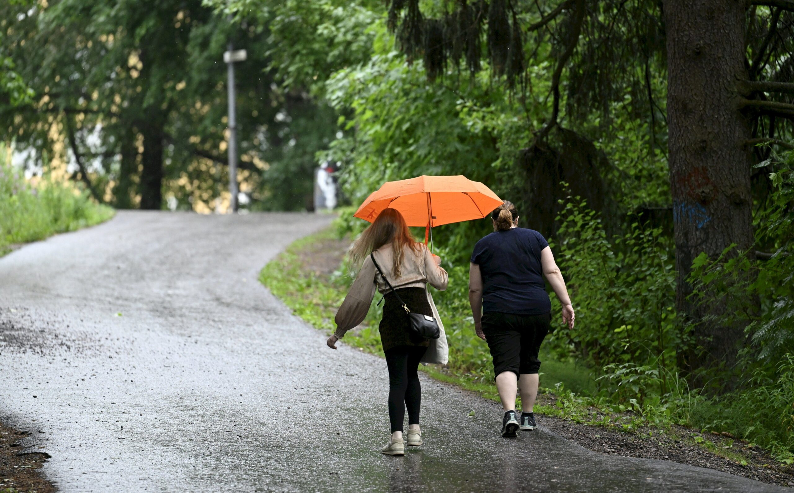 Kesäsää ei kirkastu: Luvassa sade- ja ukkoskuuroja | Verkkouutiset