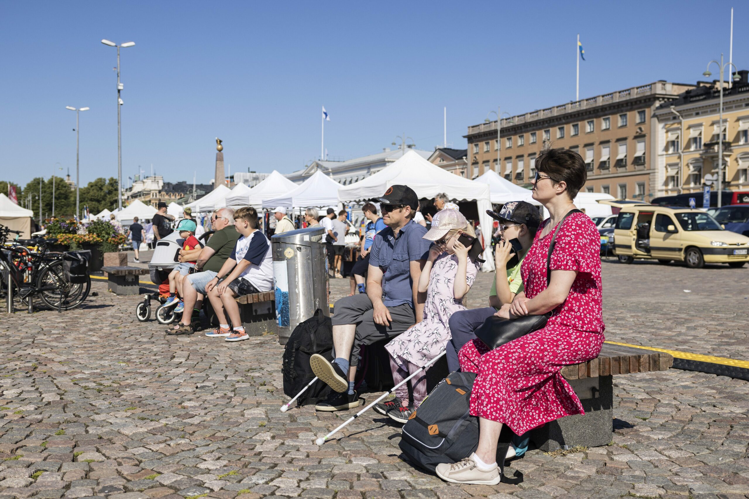HU: Torin lokkiongelmaan löytyi tehokas keino - "Olivat todella ...