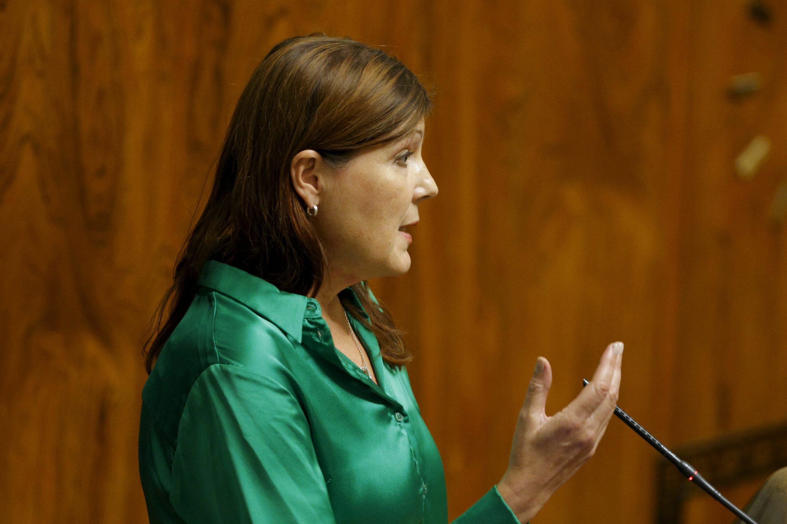 Sari Sarkomaa: Yrityslähestymiskieltoa kiirehdittävä | Verkkouutiset