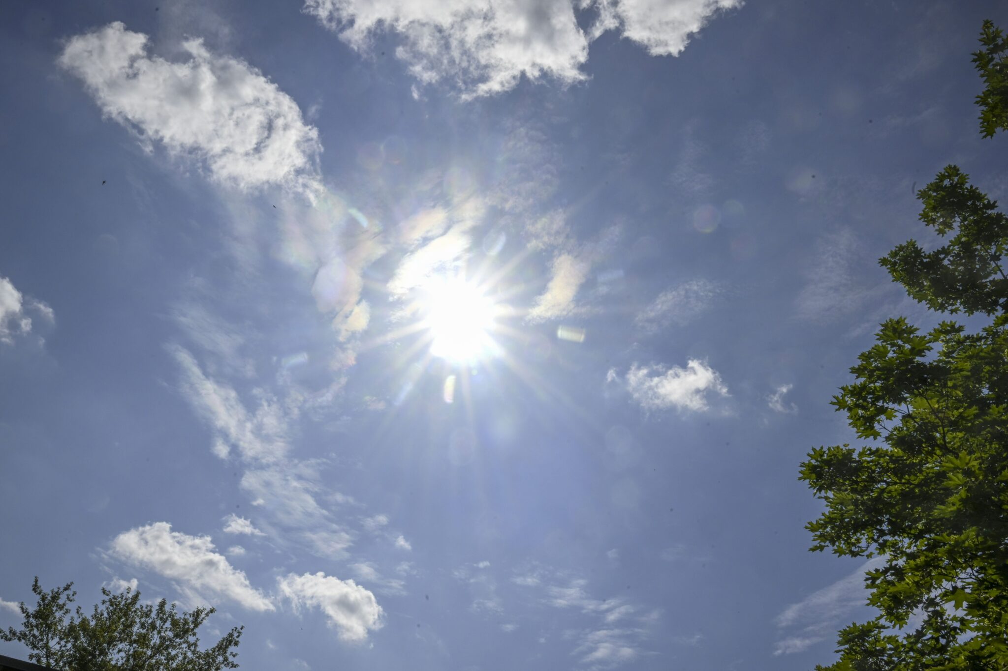 Aurinko voi sytyttää nämä esineet tuleen | Verkkouutiset