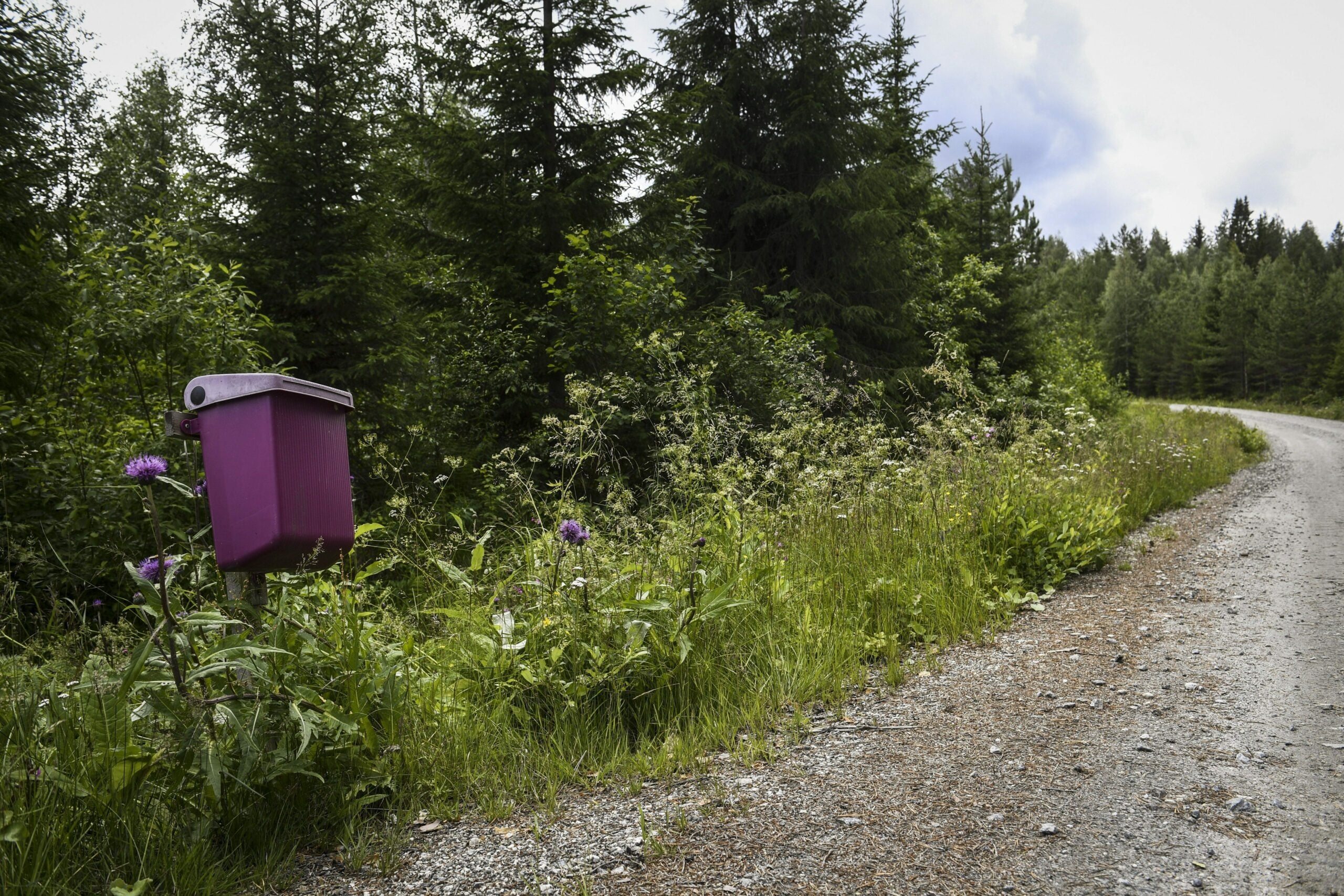 "Koko maan asuttuna pitämiseltä on pudonnut pohja" | Verkkouutiset