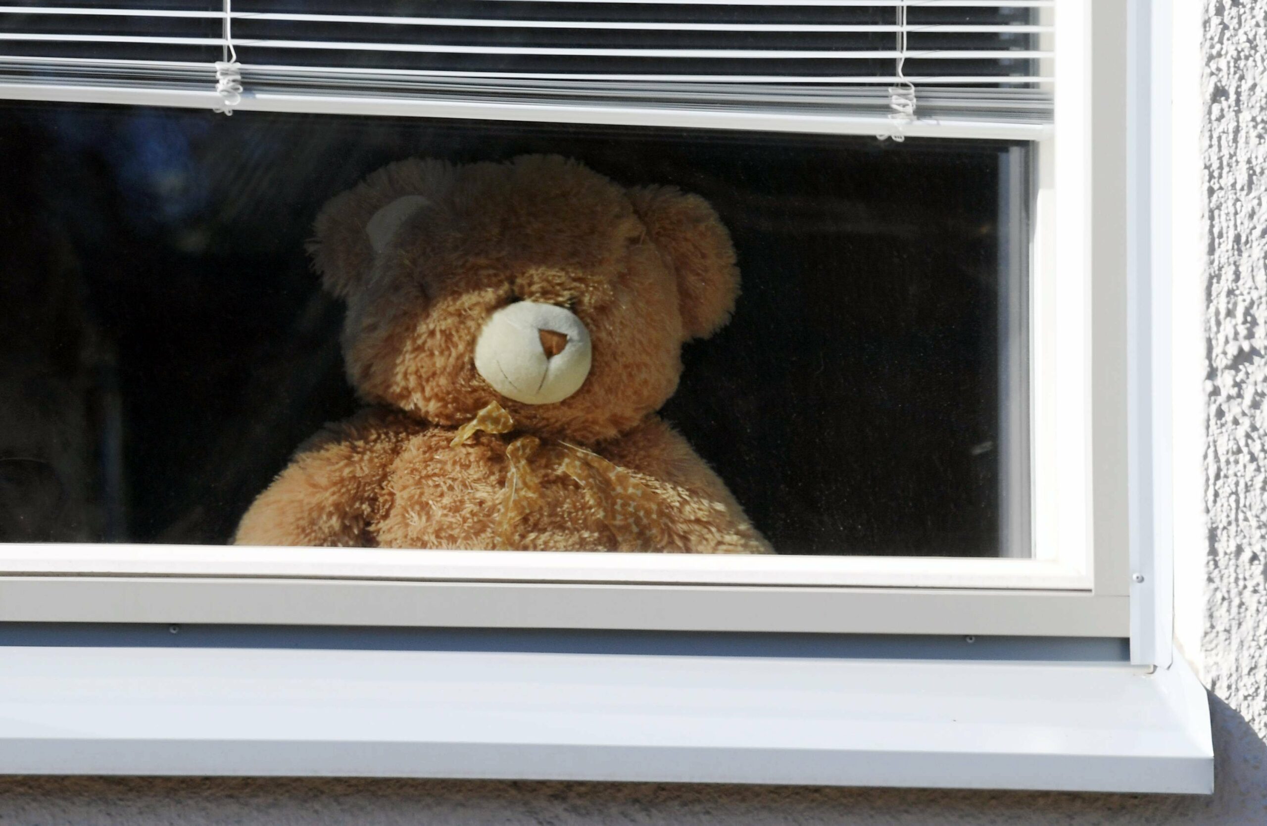 "Verokarhua on tunnetusti vaikea kesyttää, mutta..." - Verkkouutiset
