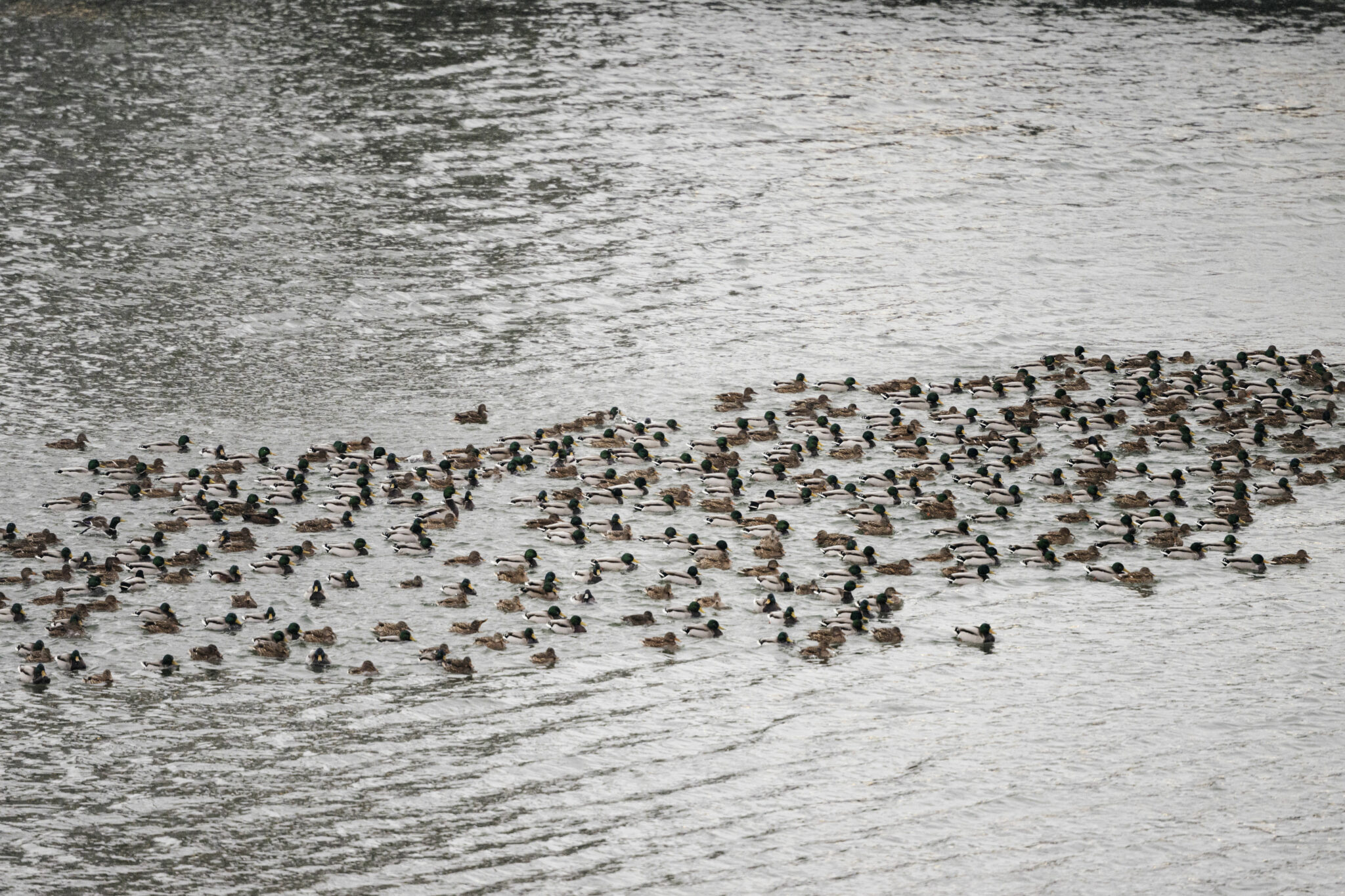 Toimitusjohtajalta suorat sanat: Suomi on pahenevassa kierteessä ...